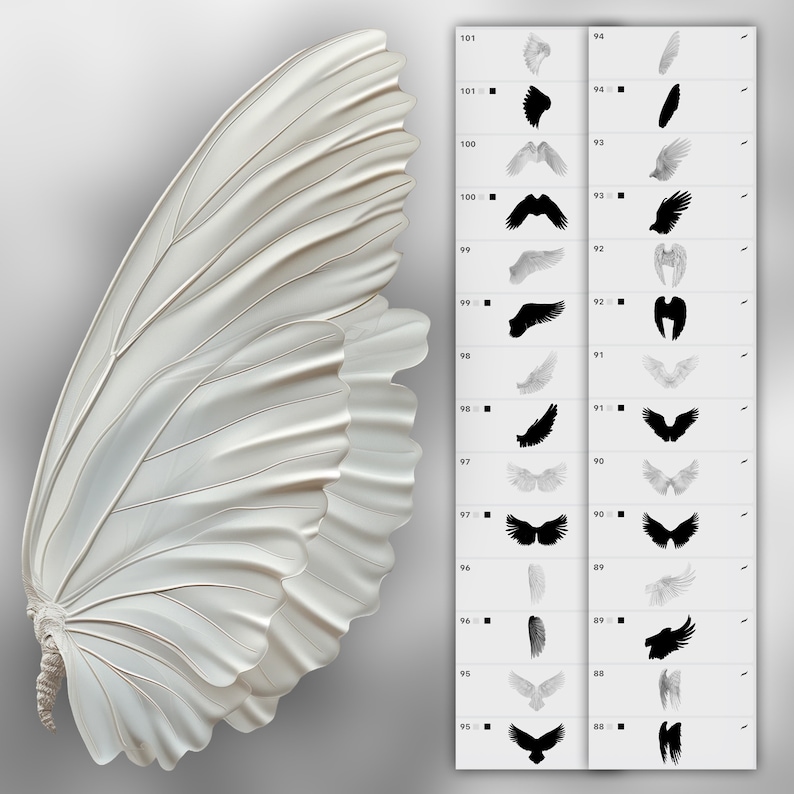 100 Procreate 2D Wings Stamp Brushes | Procreate Bird Wings Stamps ...