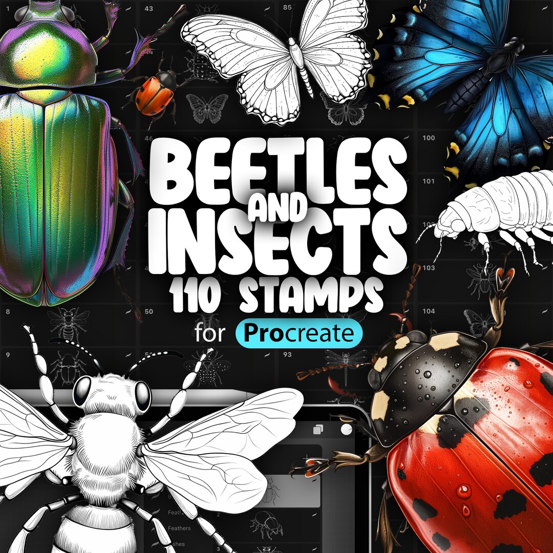 110 Procreate Beetles Stamp Brushes Procreate Bugs Stamp Brushes ...