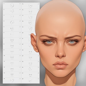 150 Procreate Girls Head Base Stamps Procreate Female Head Guide Stamps ...