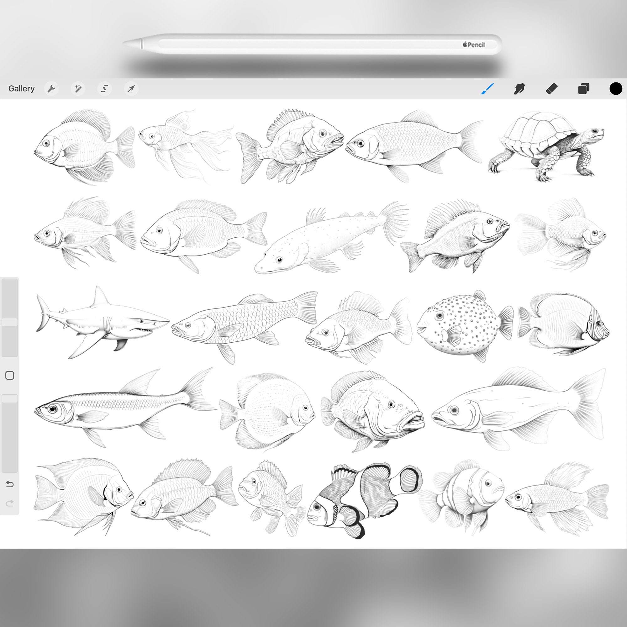 100 Procreate Fish Stamp Brushes | Photoshop Fish Brush | Clip Studio ...
