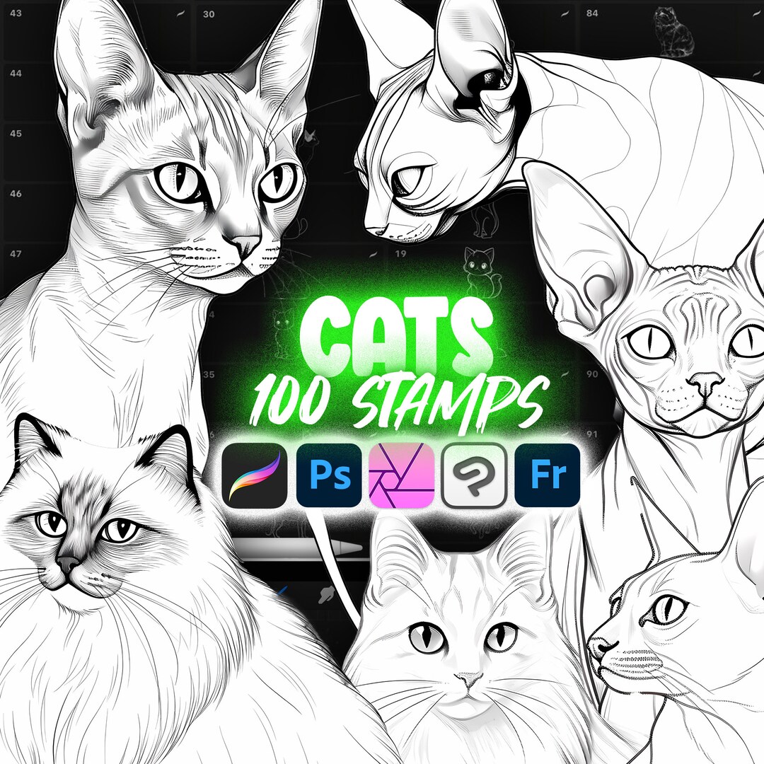 100 Procreate Cats Stamp Brushes Procreate Animals Stamp Brushes ...
