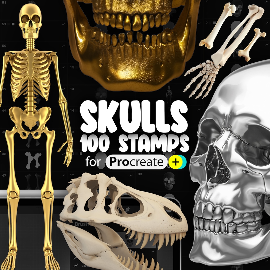 100 Procreate 3D Skull Stamp Brushes | Procreate Human Skull ...