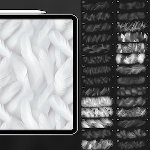 100 Procreate Feather Textures | Bird Feather Procreate Texture Seamless Brushes | Feather ...