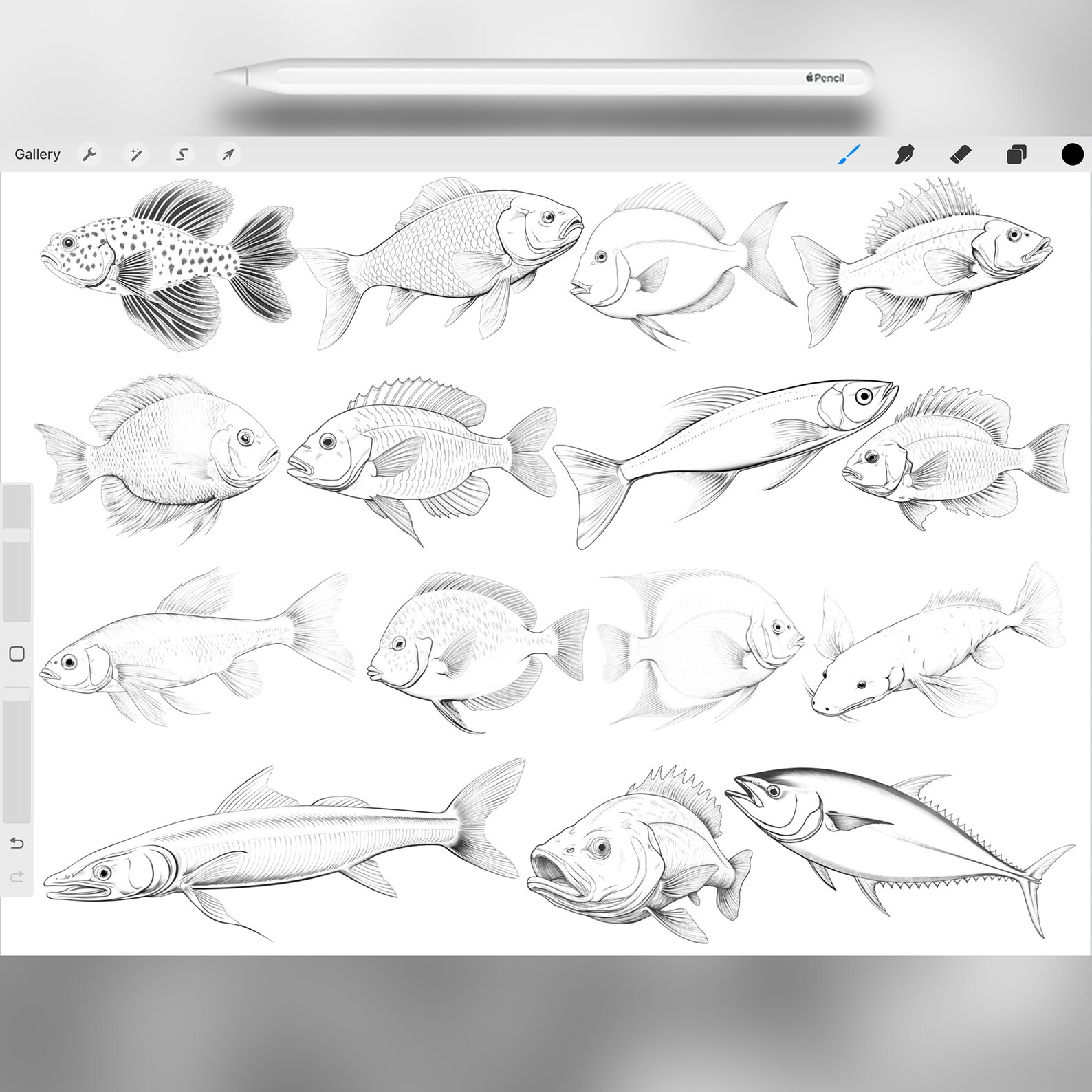 100 Procreate Fish Stamp Brushes | Photoshop Fish Brush | Clip Studio ...