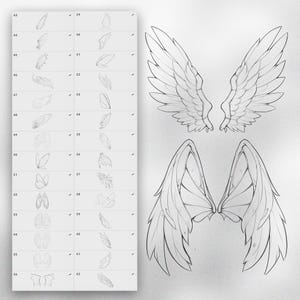 110 Procreate Wings References Stamps | Angel Wings Procreate | Bat ...