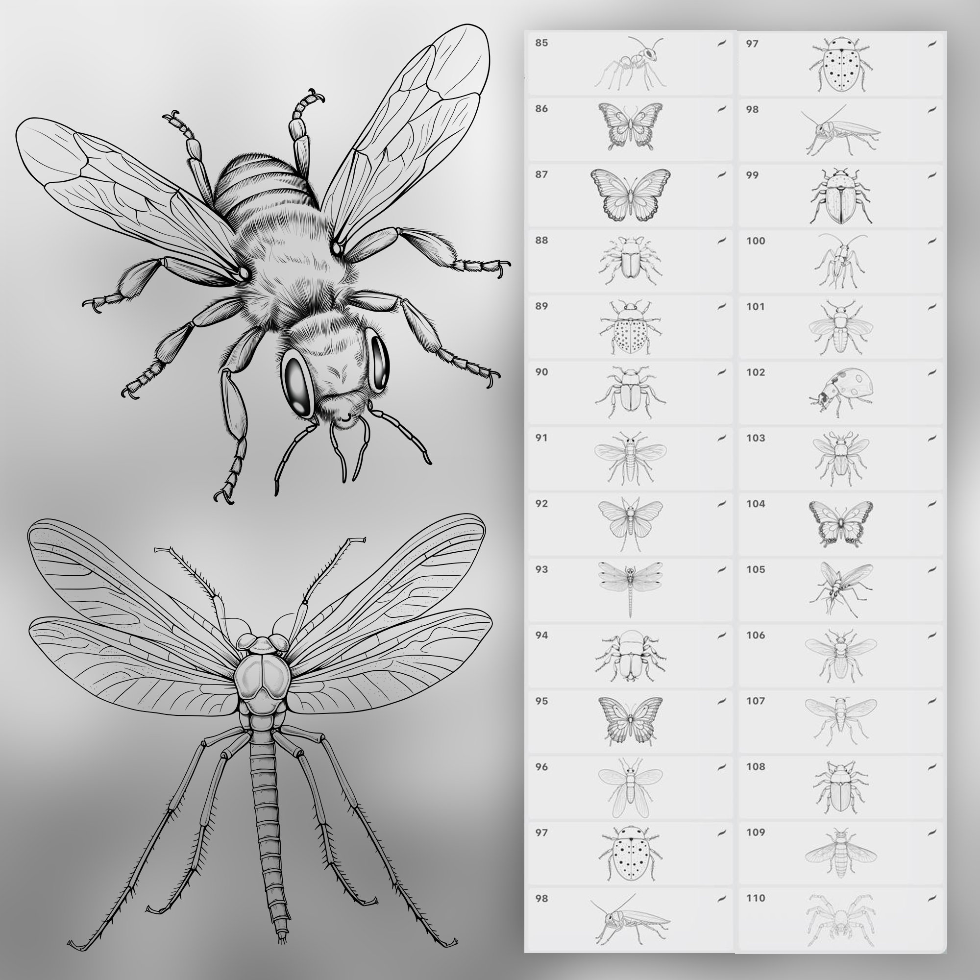 110 Procreate Beetles Stamp Brushes | Photoshop Bugs Stamp Brushes ...
