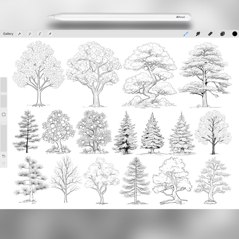150 Procreate Tree Stamps | Realistic Tree Brushes for Procreate ...