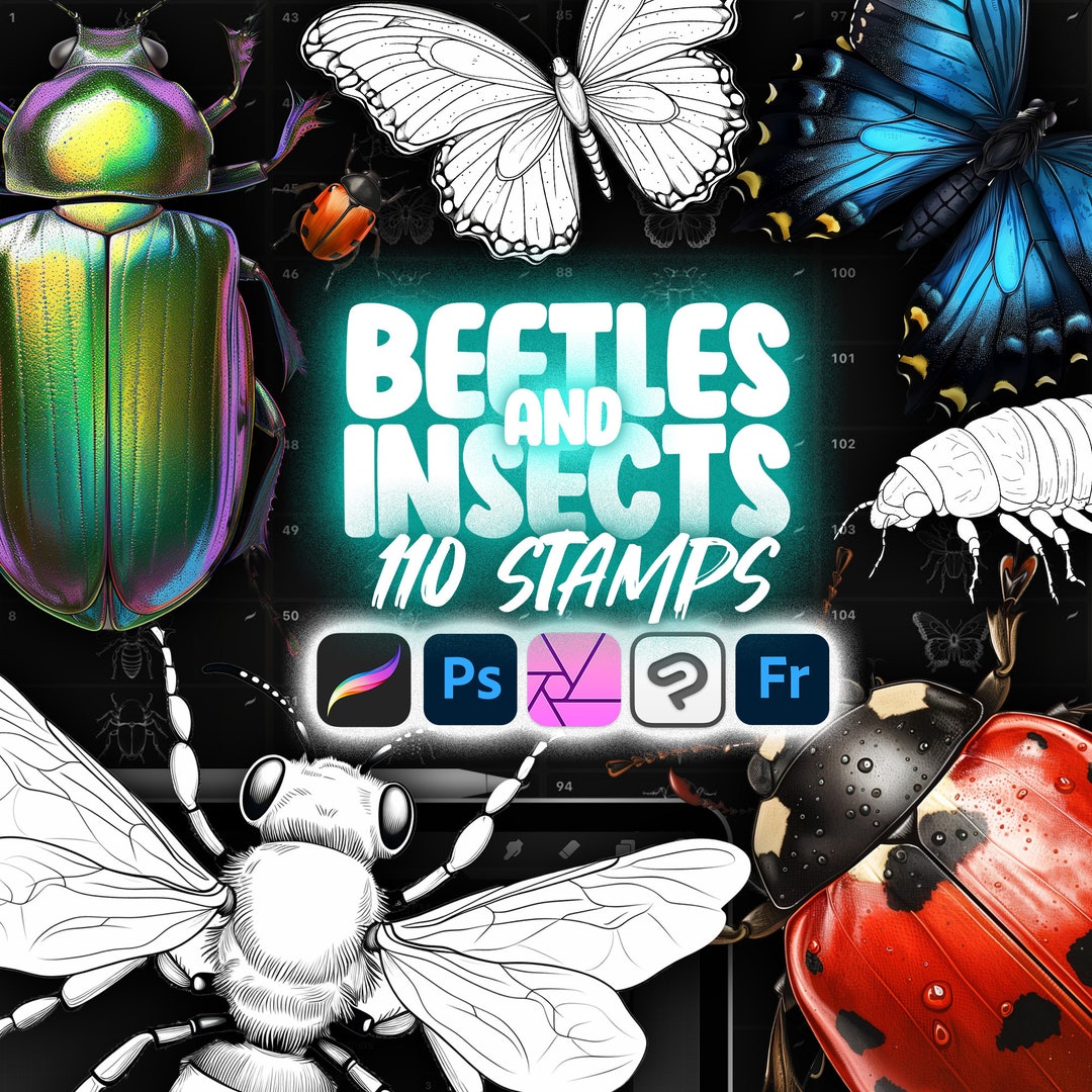110 Procreate Beetles Stamp Brushes | Photoshop Bugs Stamp Brushes ...