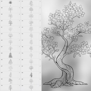 150 Procreate Tree Stamps | Realistic Tree Brushes for Procreate ...