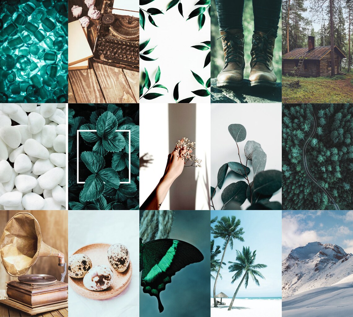 Green Aesthetic Wall Collage Kit 60 Photos Greenery | Etsy