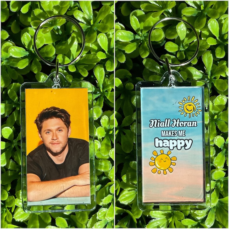 Niall Horan Sticker - Etsy