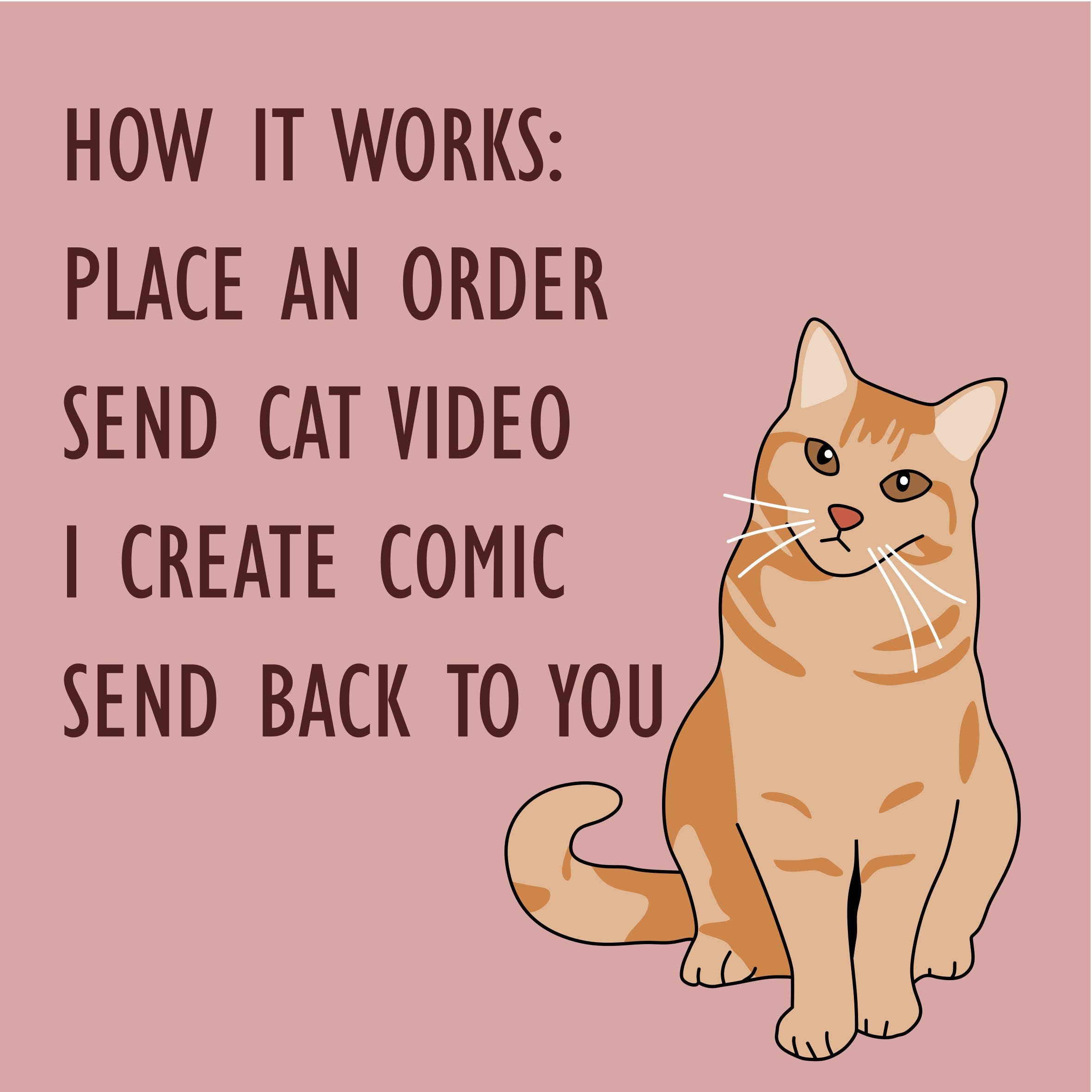 Custom Order 4 Panel Cat Comic Strip, Vector Graphic Illustration ...