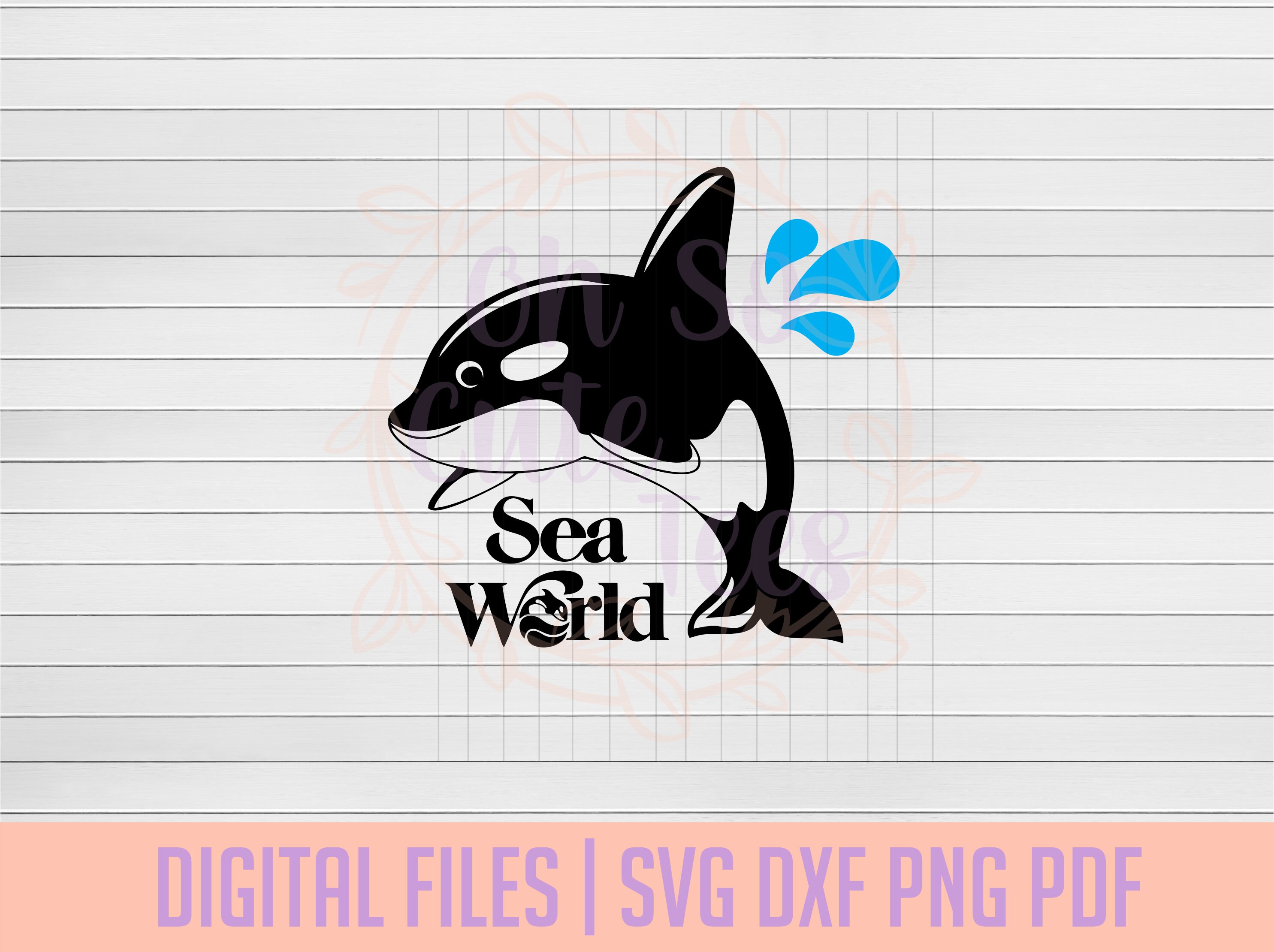 Seaworld Whale Boy Svg - Etsy