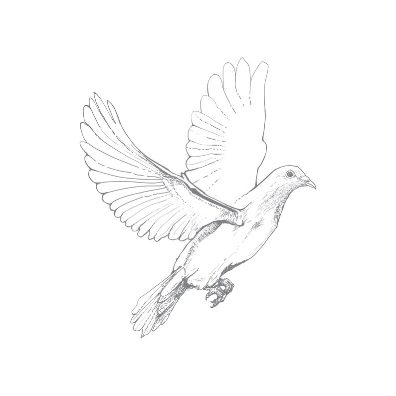 Flying Dove Hand Drawn Clipart, Bird Digital Art Print Illustration - Etsy