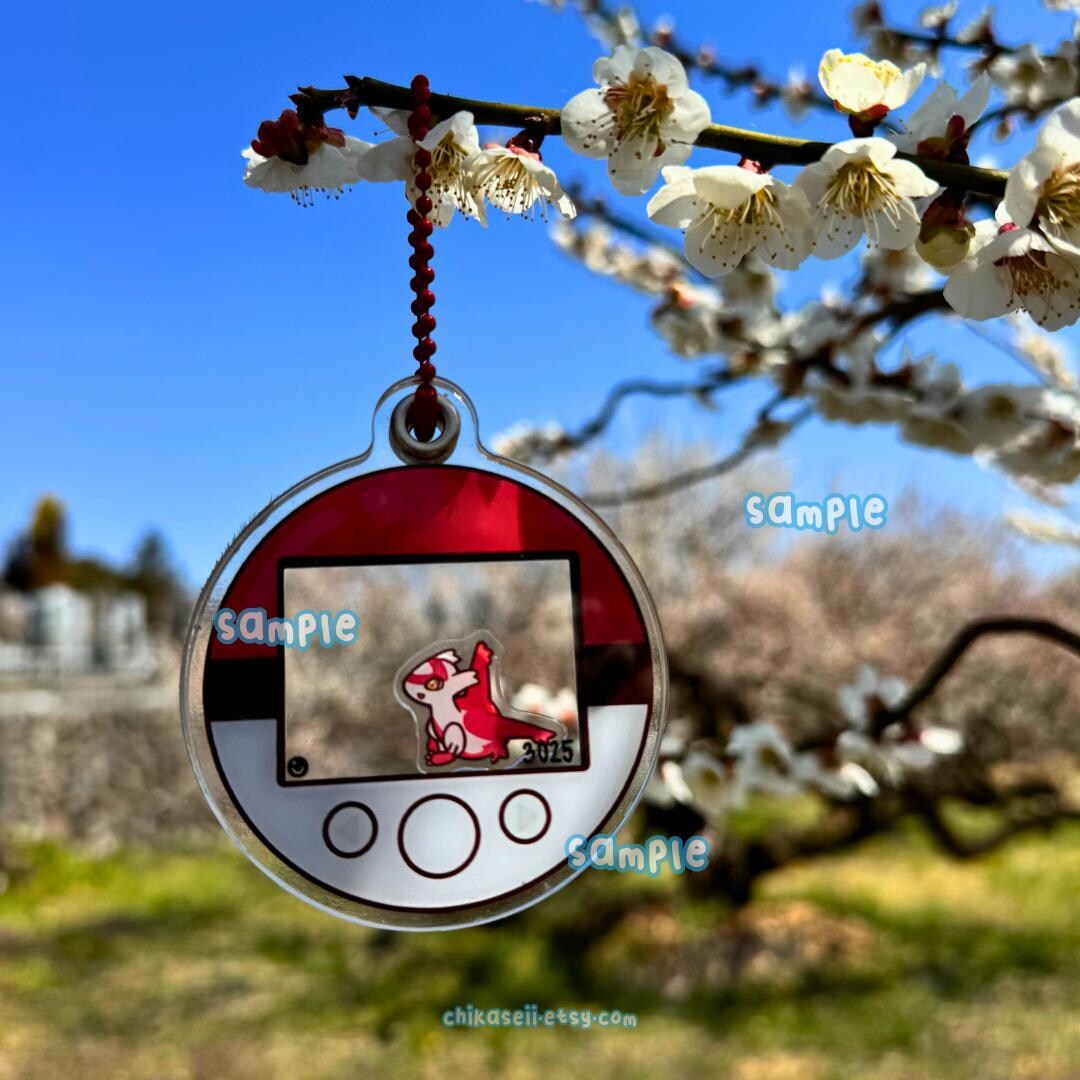 Pokemon Shaker Charm - Etsy