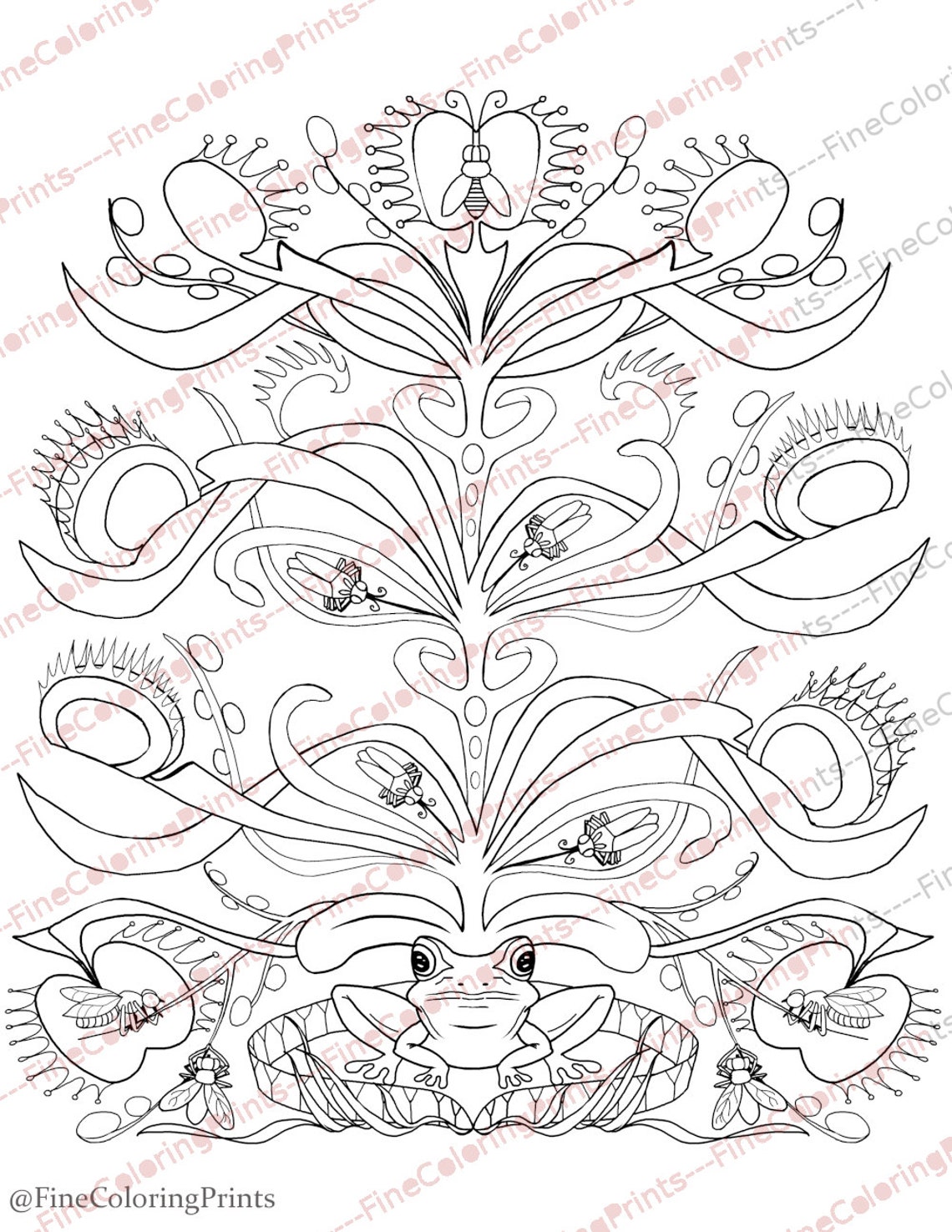 Digital Coloring Page Sundew and Frog for Adults. Instant Digital JPEG ...