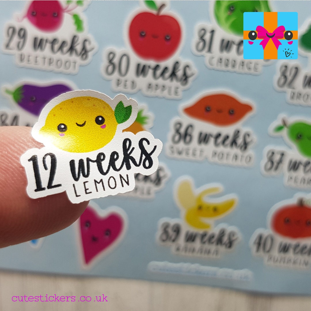 Pregnancy Planner Stickers / 37 Fruit & Veg Pregnant Planner Stickers ...