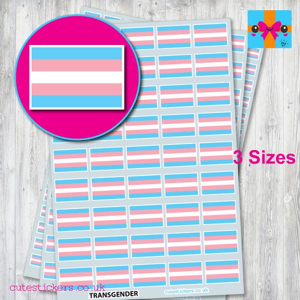 Trans Pride Planner Stickers - Etsy