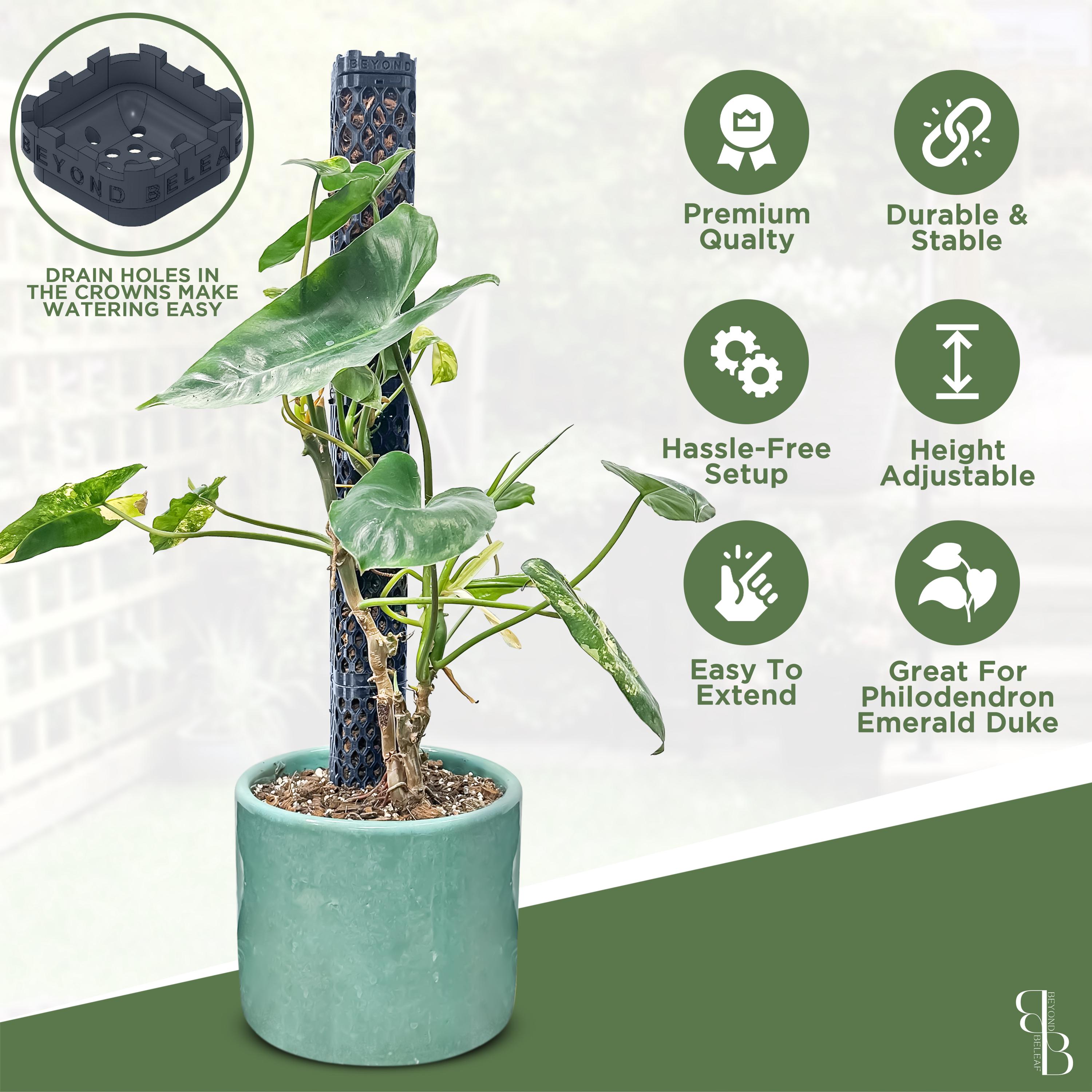 Square Plant Support Kit: Extendable Self-watering for Monstera ...
