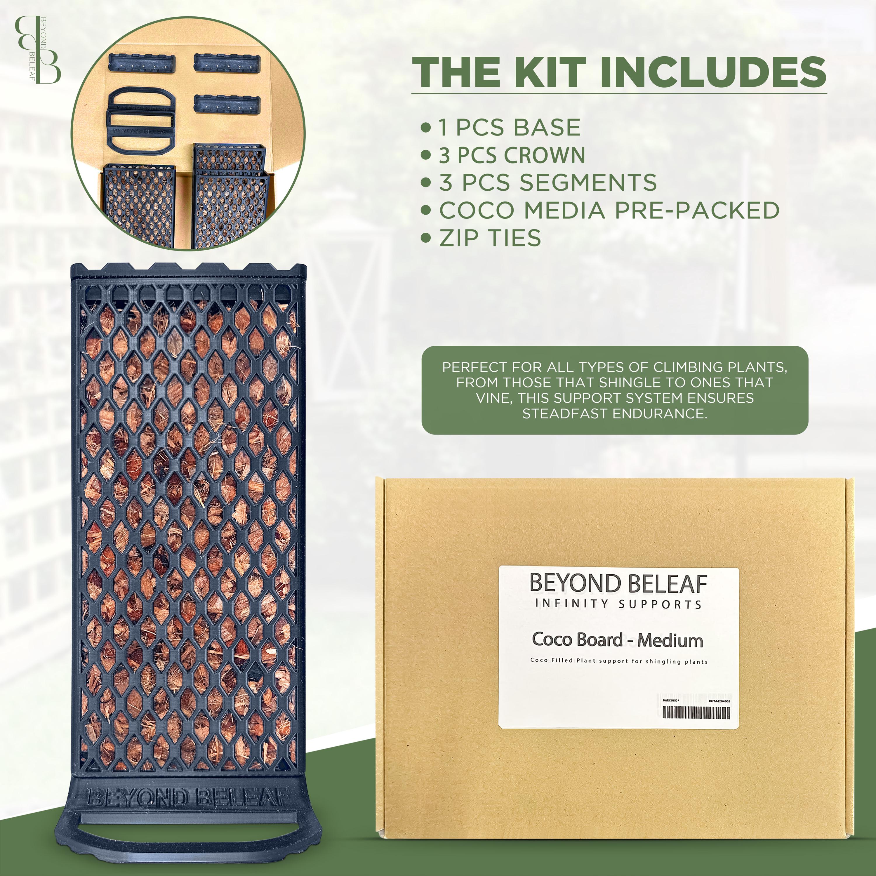 Monstera Dubia Shingling Plant Support Board: Climbing Plant ...