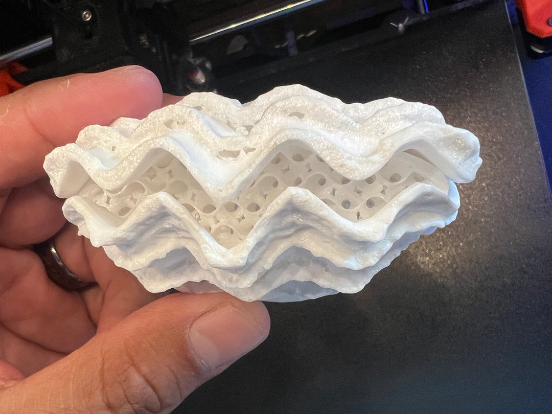 NEW* Aquarium Copepod Hotel Clam Shell Design - Etsy