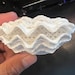 NEW* Aquarium Copepod Hotel Clam Shell Design - Etsy