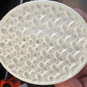 NEW* Aquarium Copepod Hotel Clam Shell Design - Etsy