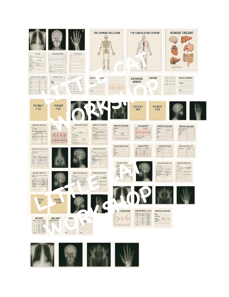 Printable 1:12 Scale Medical Charts, Patient Files & X-rays, Dollhouse ...