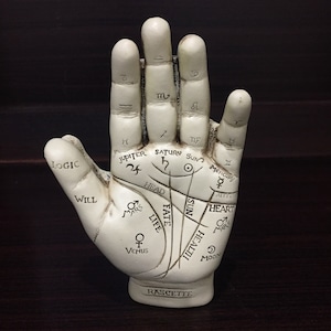 Vintage Palmistry Hand Model Kit. - Etsy