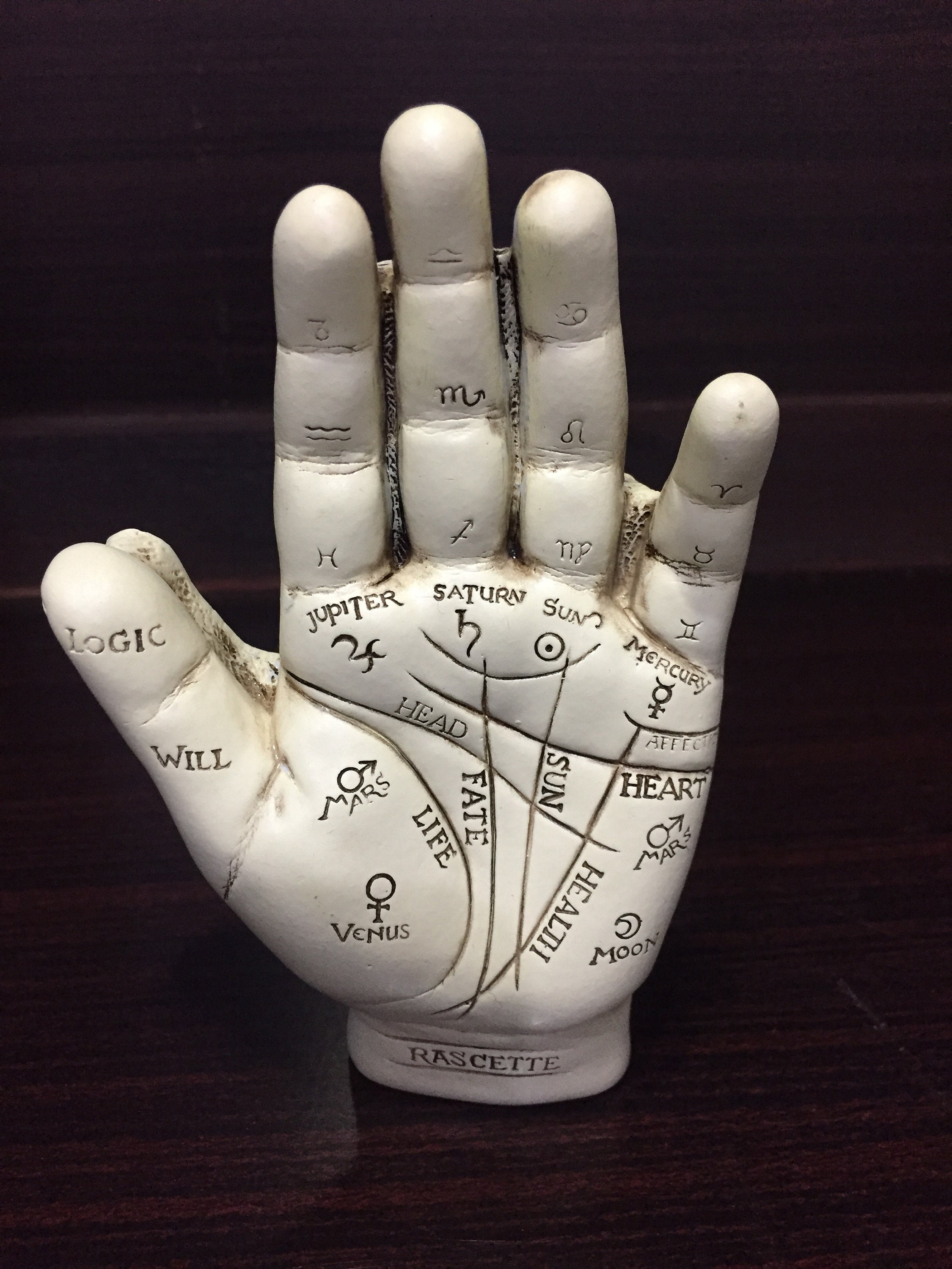 Vintage Palmistry Hand Model Kit. - Etsy