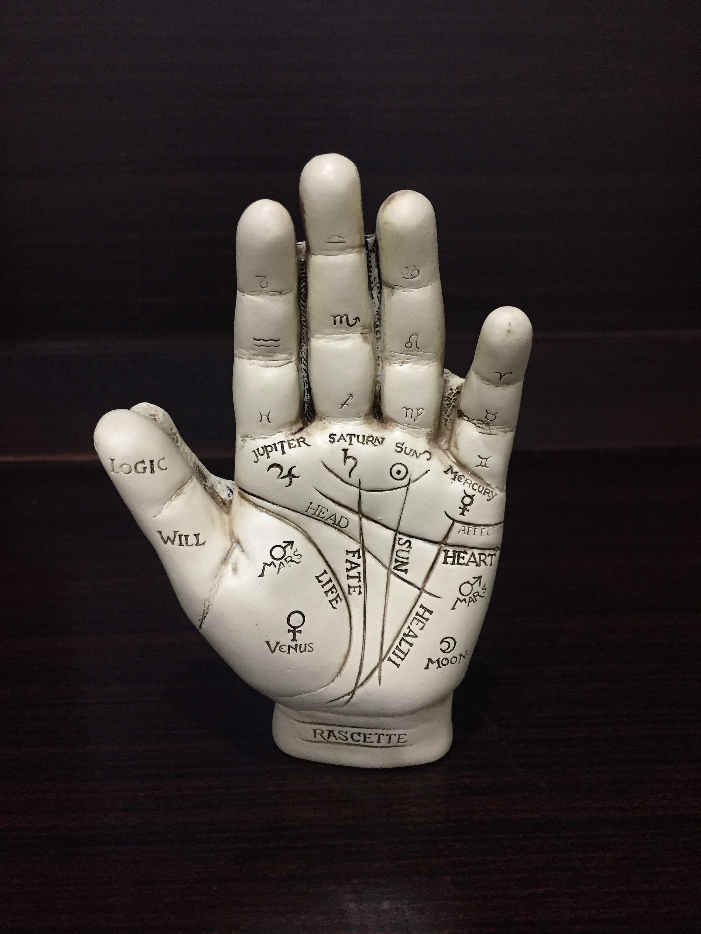 Vintage Palmistry Hand Model Kit. - Etsy