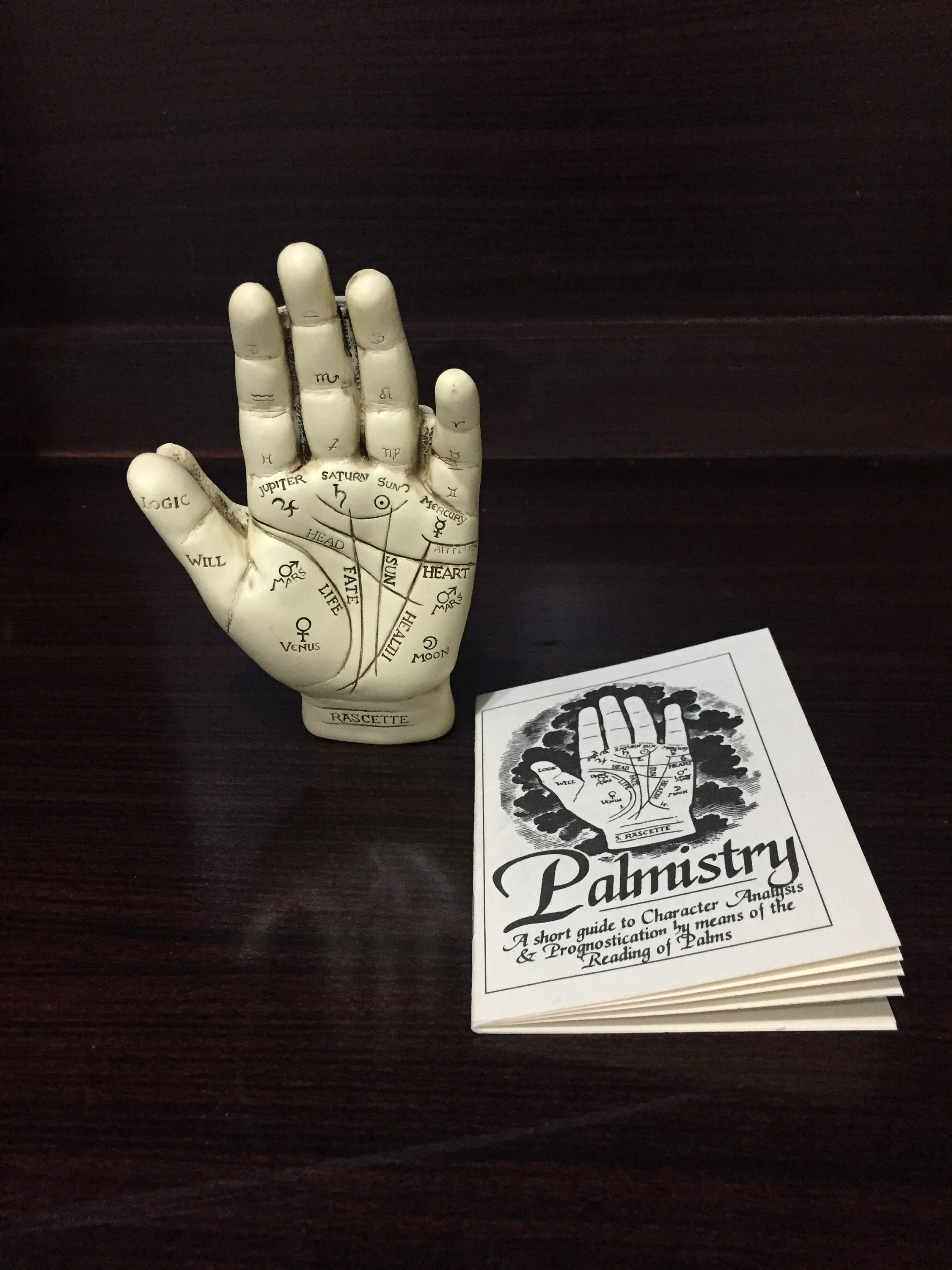 Vintage Palmistry Hand Model Kit. - Etsy