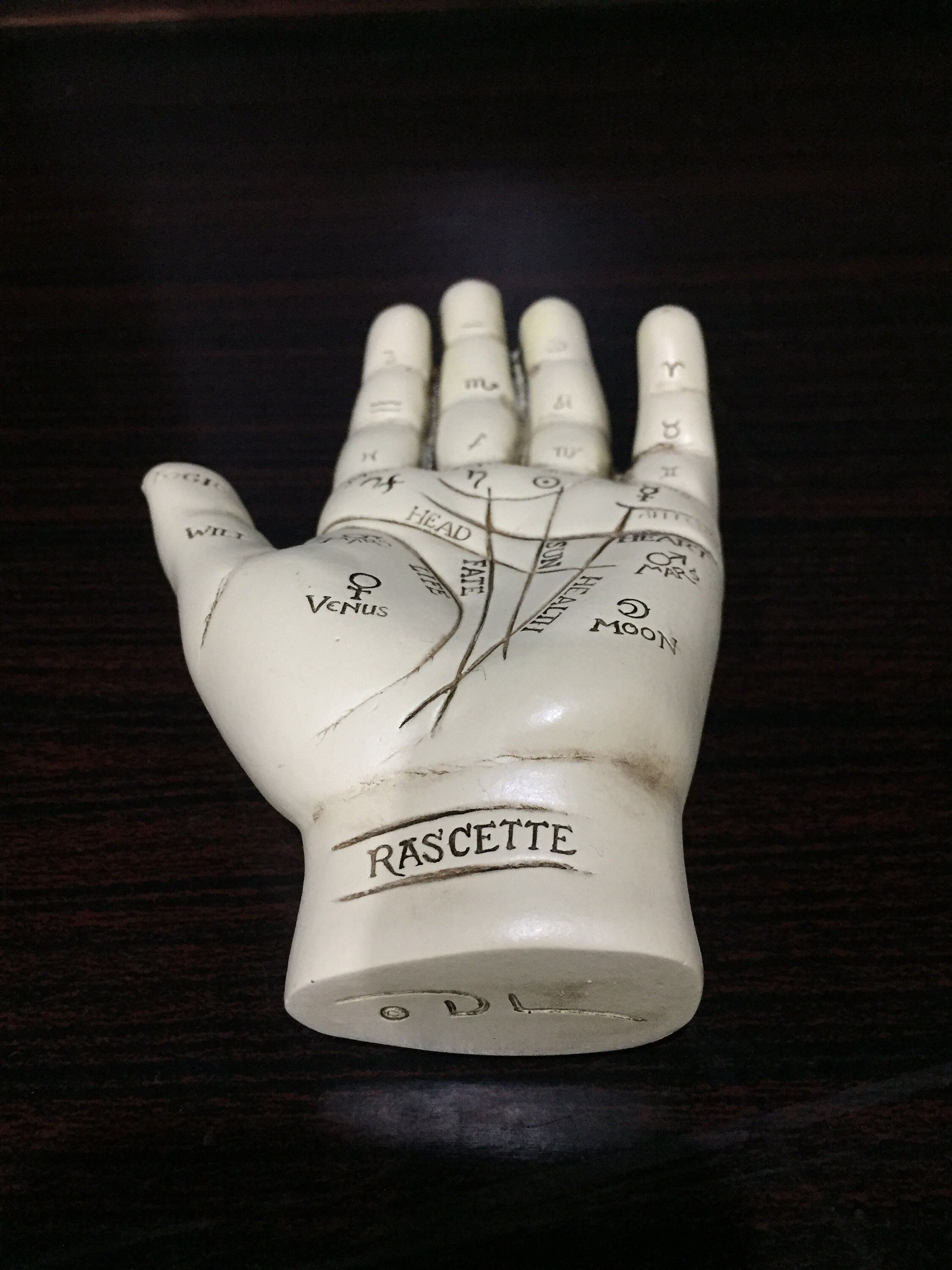 Vintage Palmistry Hand Model Kit. - Etsy