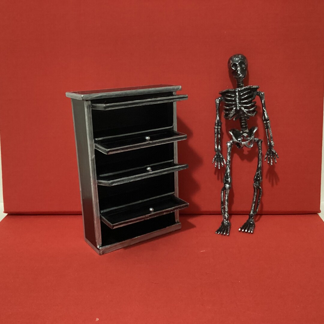 Bewitched Barrister Bookcase & Skeleton - Etsy