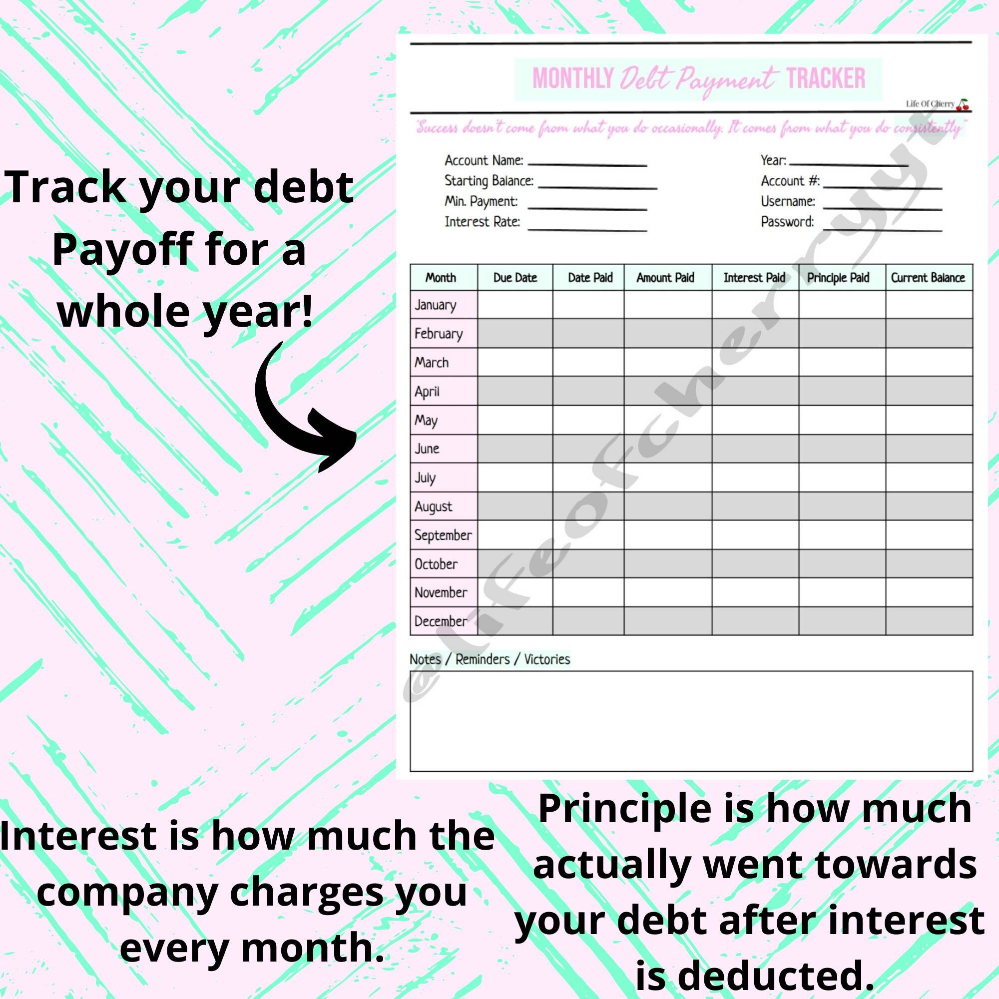 Monthly Debt Trackers Bundle | Etsy