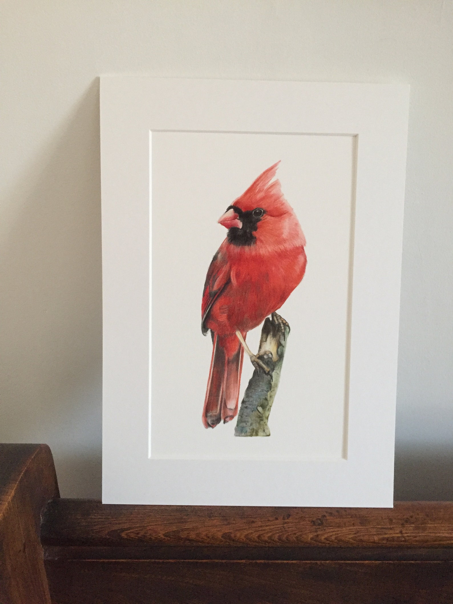 Red Cardinal Giclee Print of an Original Pencil Drawing - Etsy
