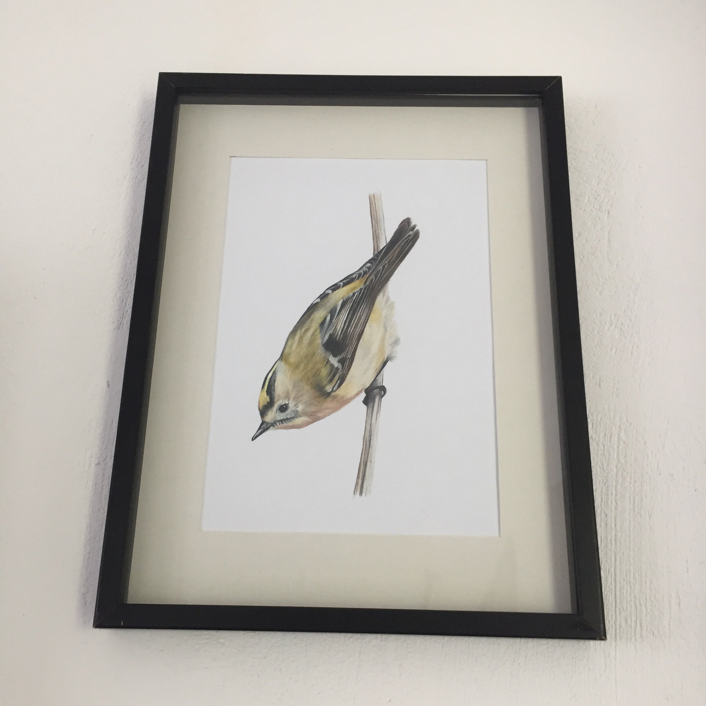 Goldcrest Drawing. - Etsy