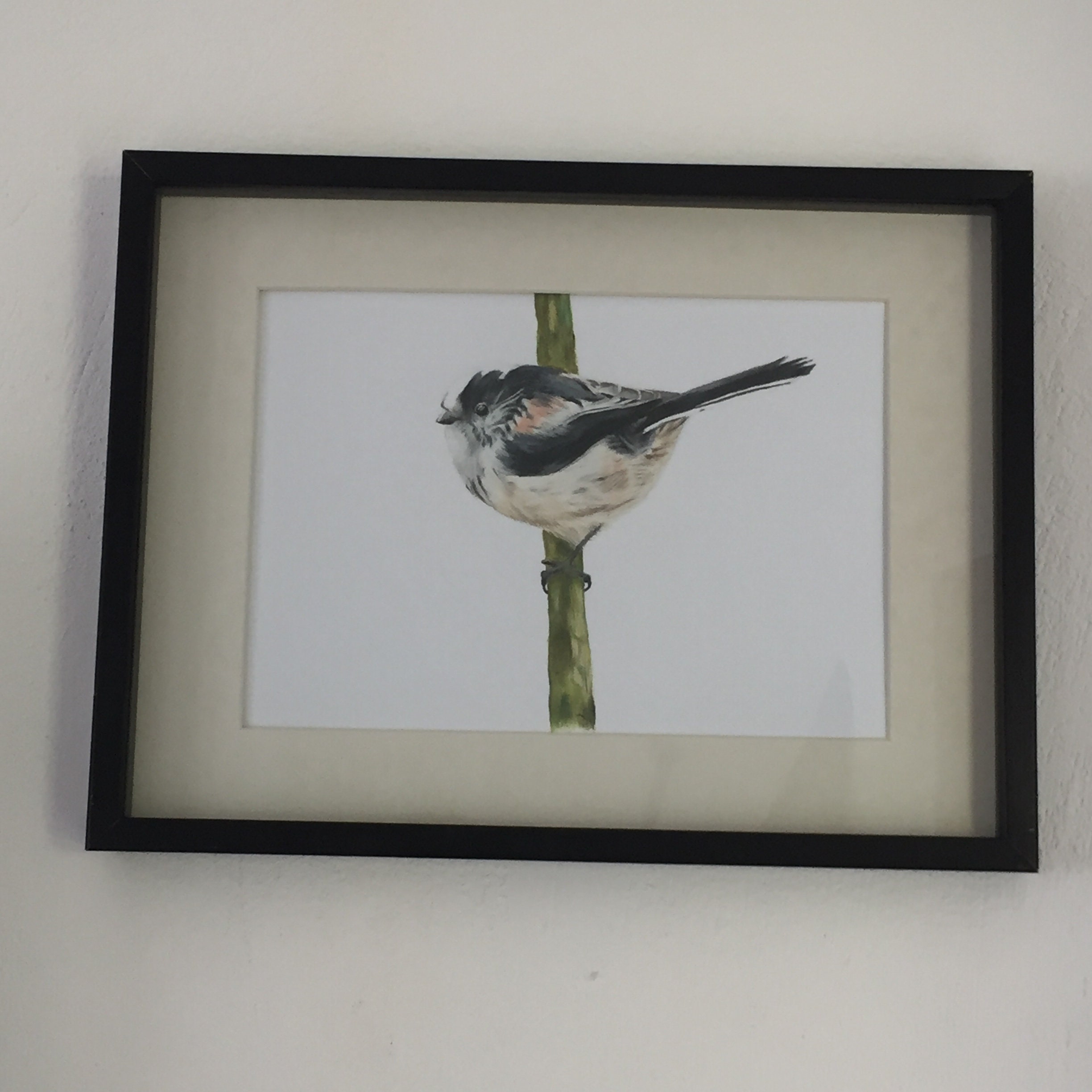 Long-tailed Tit Drawing. - Etsy