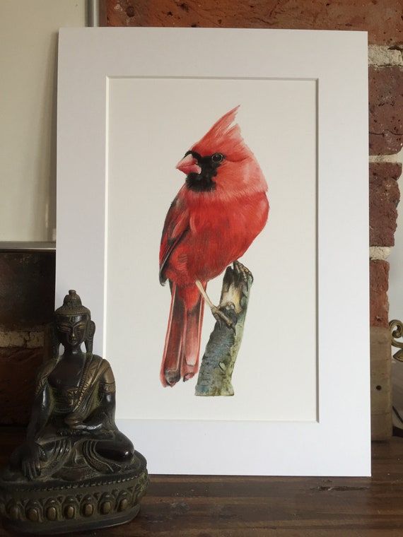 Red Cardinal Giclee Print of an Original Pencil Drawing | Etsy