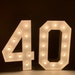 Light up Numbers, Giant Event Numbers, Number Light Decoration ...