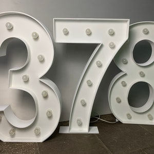 16-44" Light up Numbers, Birthday Numbers, Giant Event Numbers, Number ...