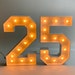 Light up Set of Two Numbers, Giant Event Numbers, Number Light ...