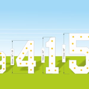 Light up Numbers, Birthday Numbers, Giant Event Numbers, Large Lighted ...
