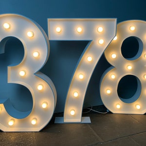 16-44" Light up Numbers, Birthday Numbers, Giant Event Numbers, Number ...
