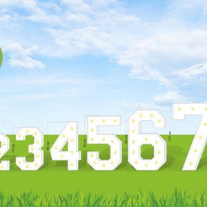 Light up Numbers Birthday Numbers Giant Event Numbers Large - Etsy