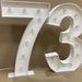 16-44 Light up Numbers, Birthday Numbers, Giant Event Numbers, Number ...