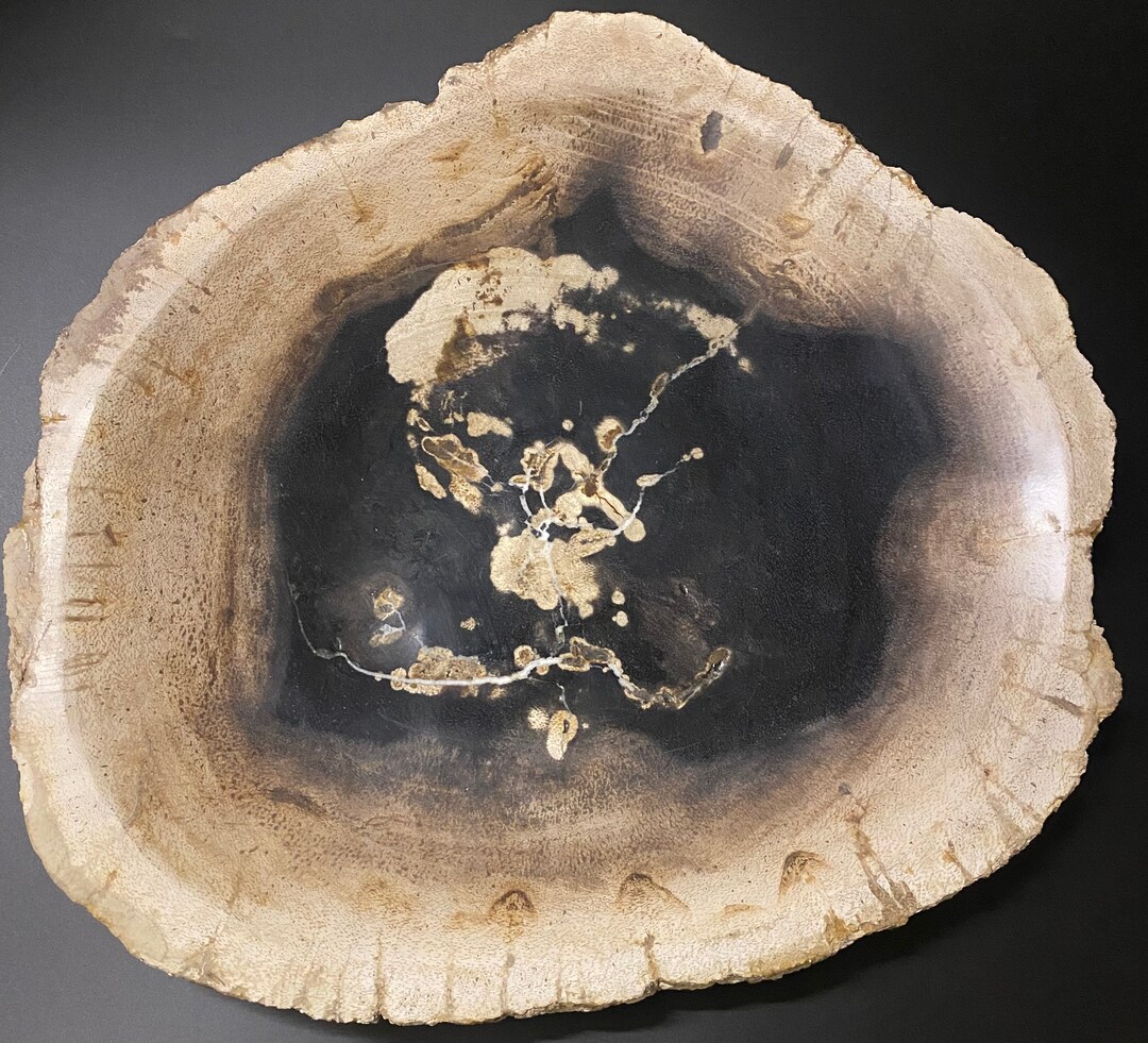 RARE SERVING BOWL Special Wood Bowl Solid Petrified Bowl - Etsy