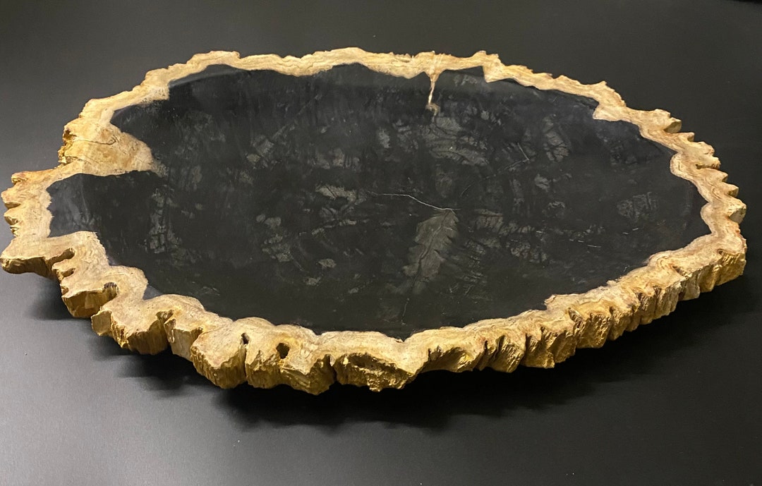 PETRIFIED WOOD BOWL, Wooden Stone Bowl, Fossilized Wood Bowl, Volcano ...