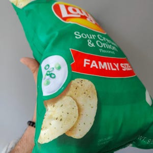 Lays Chips Pillow: Funny Soft Stuffed Novelty Decor - Etsy