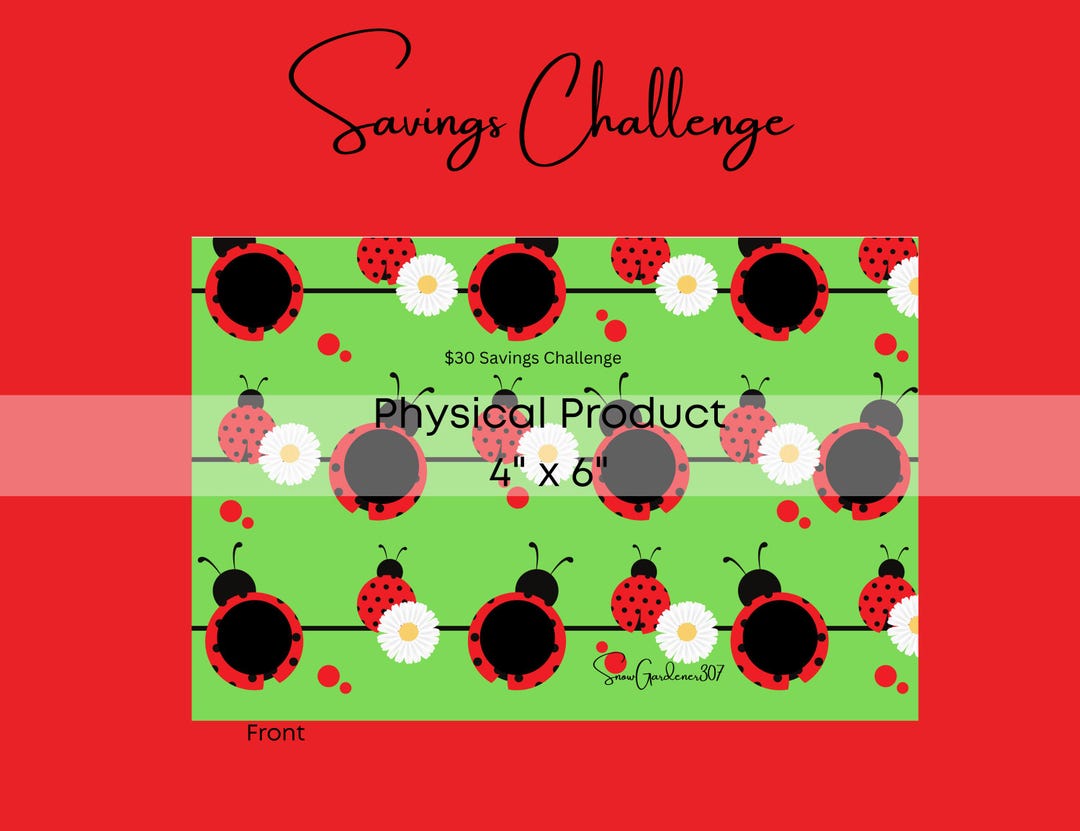 Ladybug Daisies Savings Challenge: Scratch-off & Color (4"x6") - Etsy